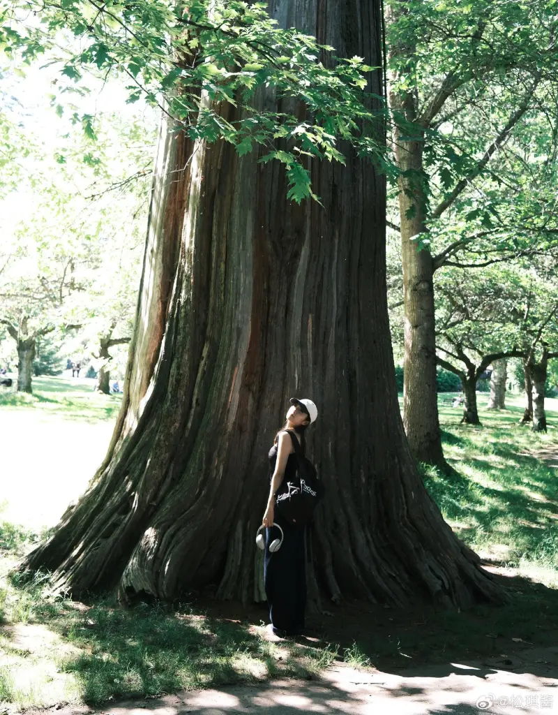 [流言板]LPL官方主持松琪晒照：发来明信片 📷-英雄联盟丨LPL-虎扑社区